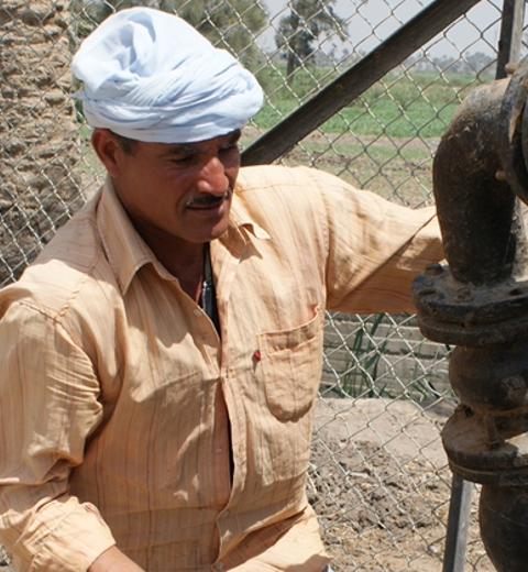 Beheira (Egypt) | World Waternet