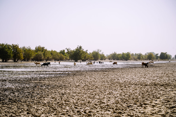 Feasibility studies for water reservoir conservation in Burkina Faso ...