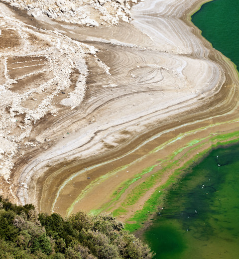 Official launch of the Ultra-sonic algae control devices in Lake ...