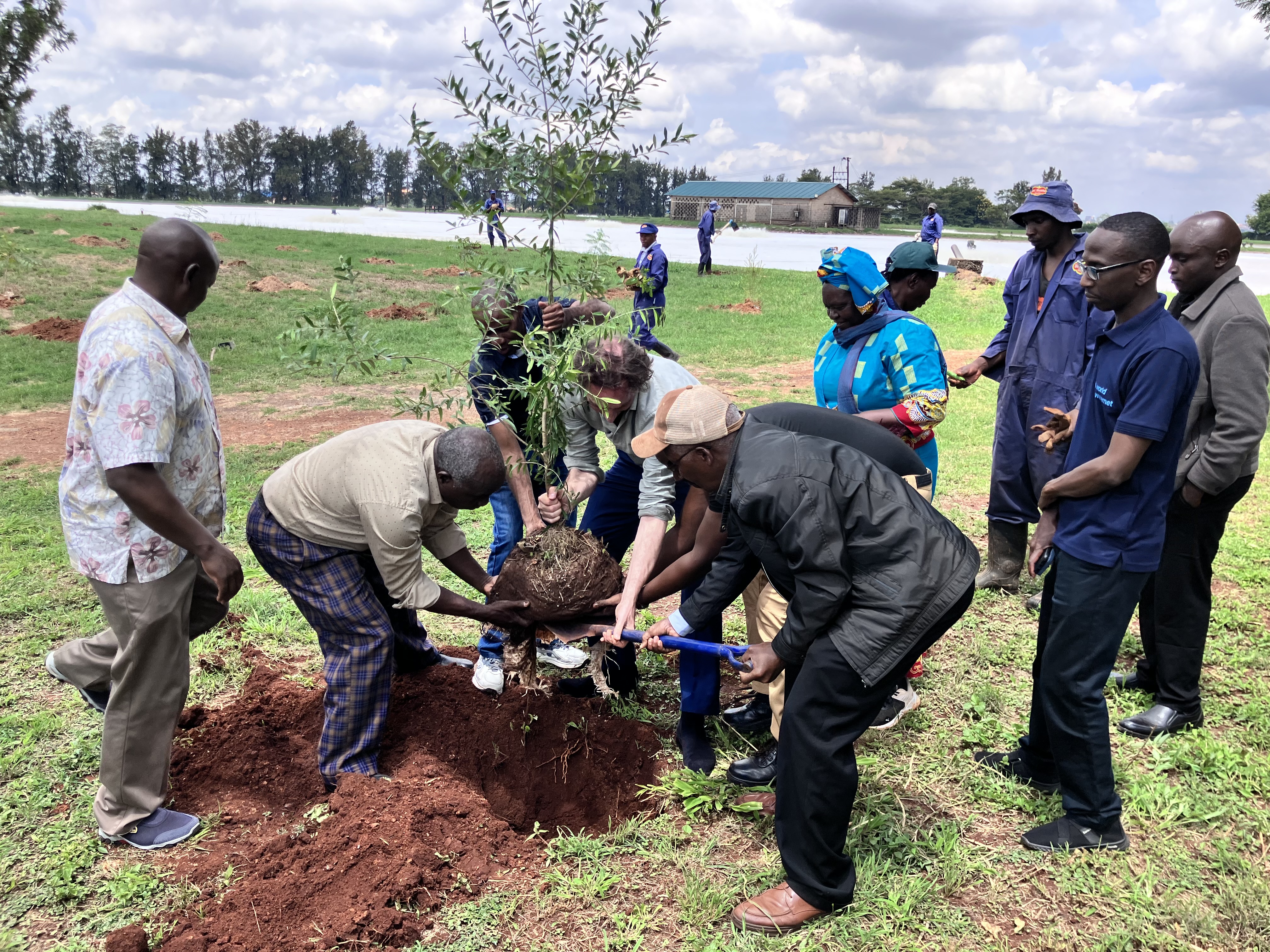 Capacity building and the funding gap: electrifying developments from ...