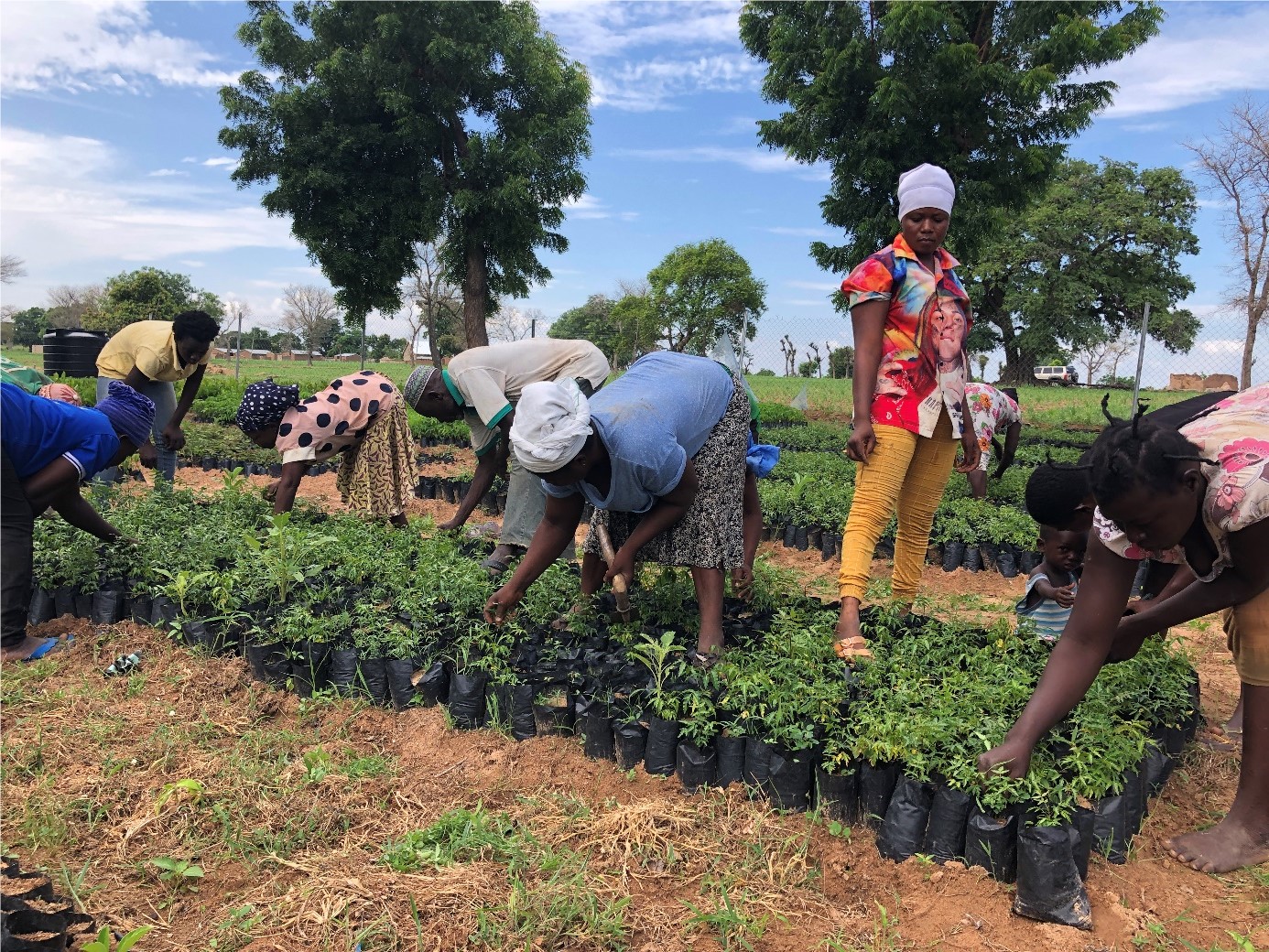 Looking back at 2024: impactful steps towards sustainable water ...